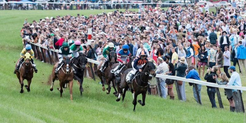 Our Guide to Tailgating, Fashion and Horses at Foxfield Races - Jos. T ...